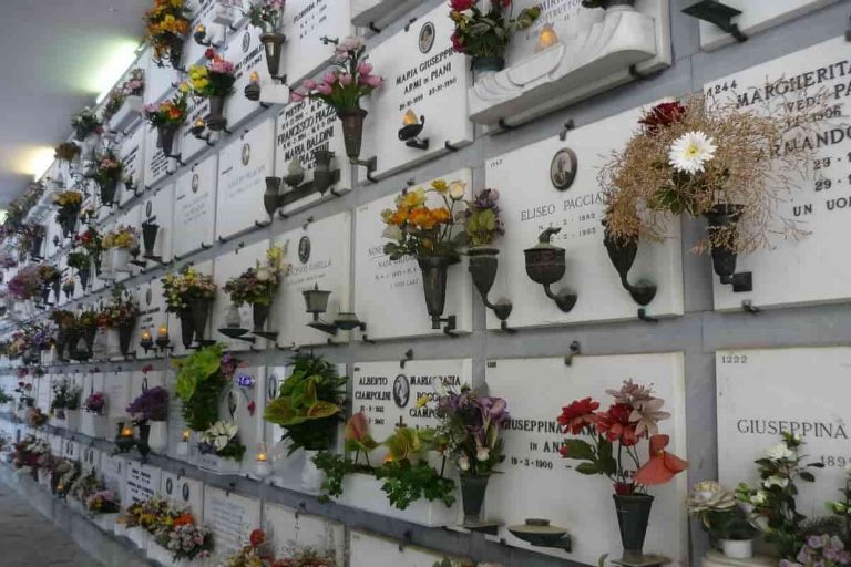 Quali sono i fiori che si portano al cimitero e quelli che sarebbe meglio non portare mai - La ...